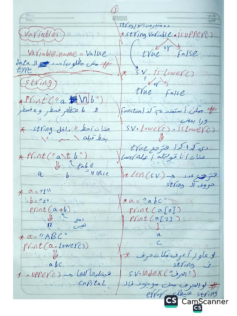 Python Basics (1) | PDF