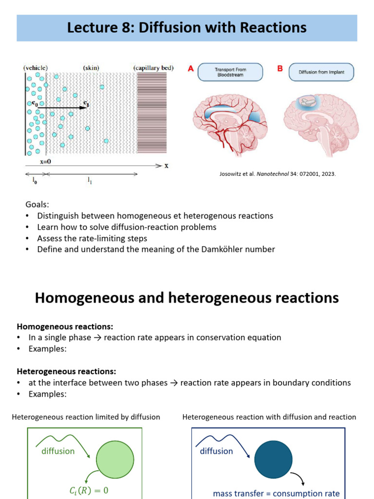 BE435_Slides_L08 Reactions With Diffusion POSTED | PDF | Diffusion ...
