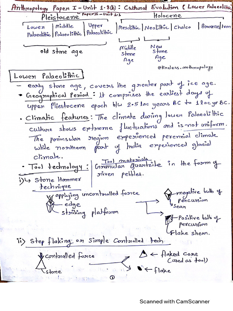 Lower Palaeolithic | PDF