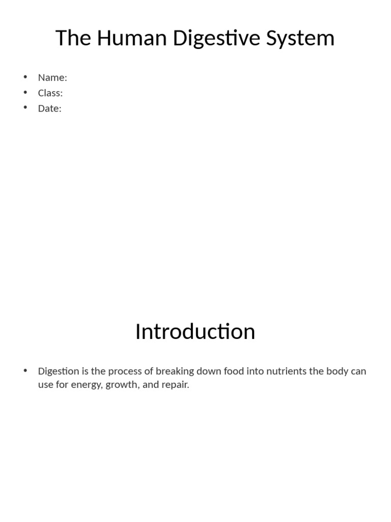 Digestive System Presentation | PDF