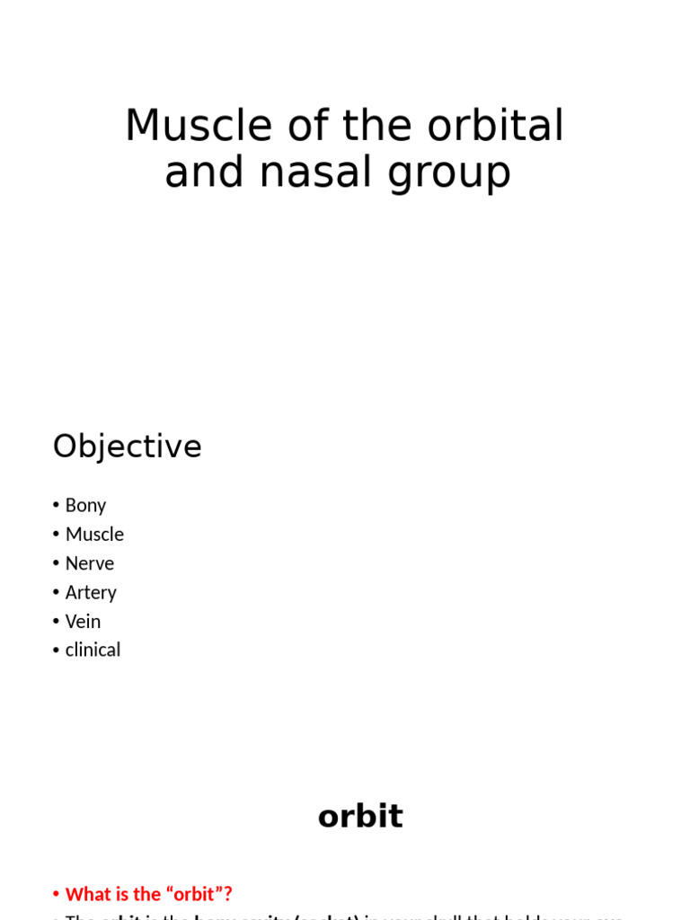 Anatomy of Orbital and Nasal Muscles | PDF | Human Nose | Face