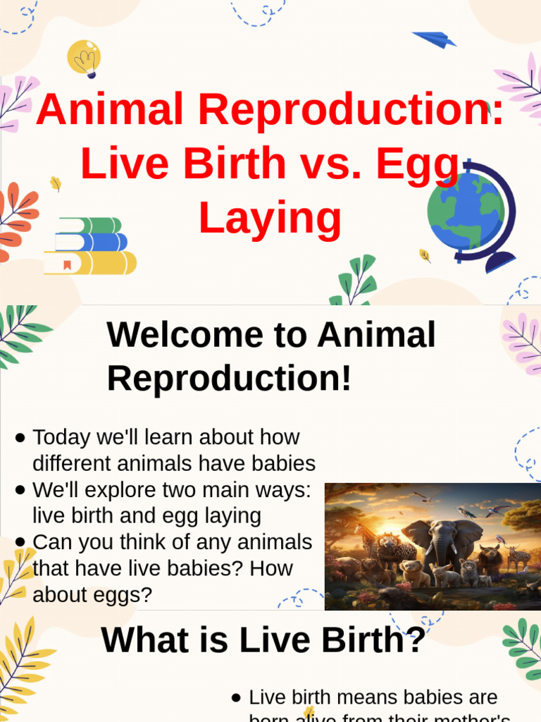 SCIENCE5 Q2 5 Identify Which Groups of Animals Reproduce by Giving ...