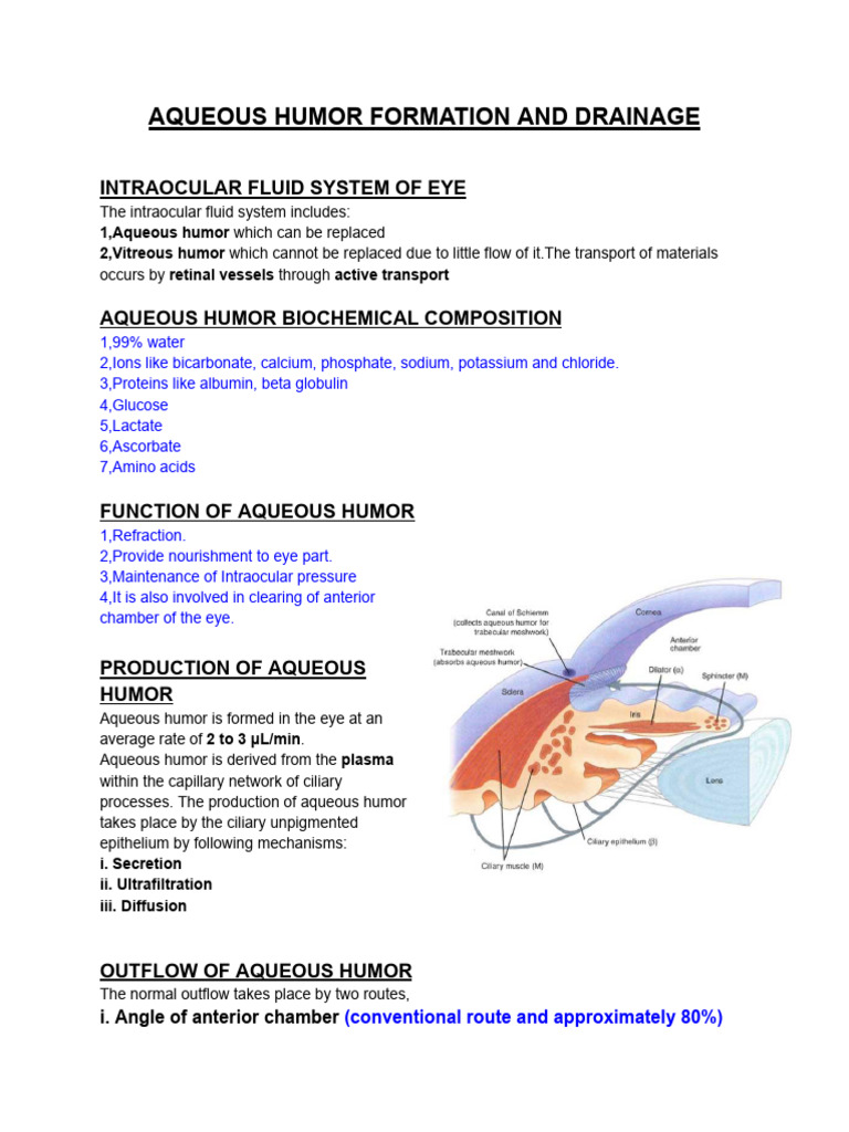 Aqueous Humor Formation and Drainage | PDF | Glaucoma | Medical Specialties