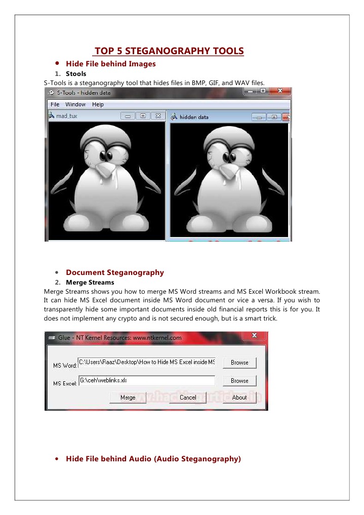 Top 5 Tools of Steganography | PDF