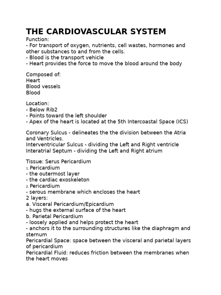 Overview of the Cardiovascular System | PDF | Heart Valve | Coronary ...
