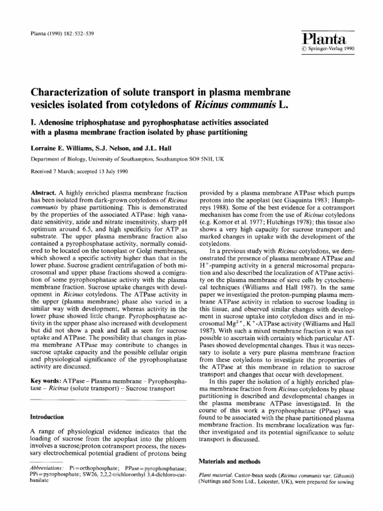 Characterization of Solute Transport in Plasma Membrane Vesicles ...