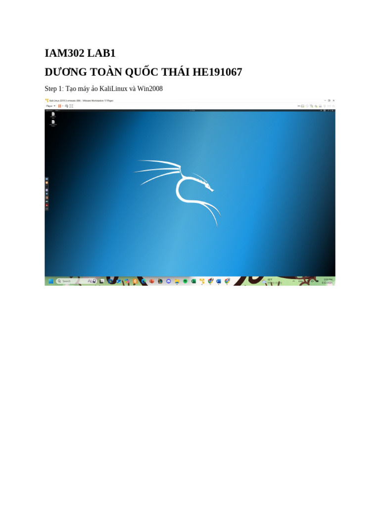 Iam302 Lab1 | PDF