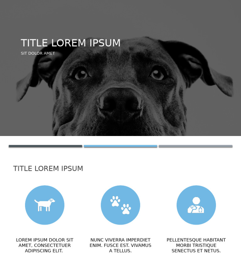 Title Lorem Ipsum | PDF