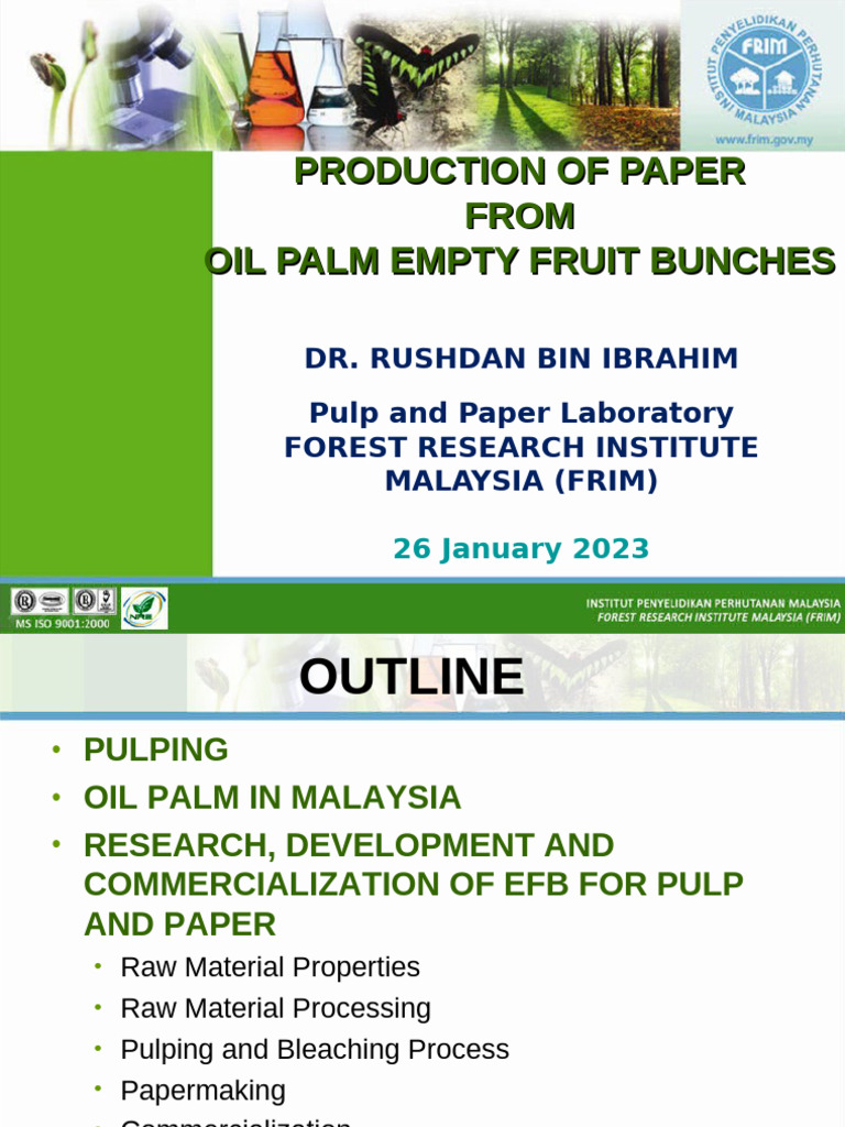 EFB Utilization in Malaysian Paper Production | PDF | Pulp (Paper ...