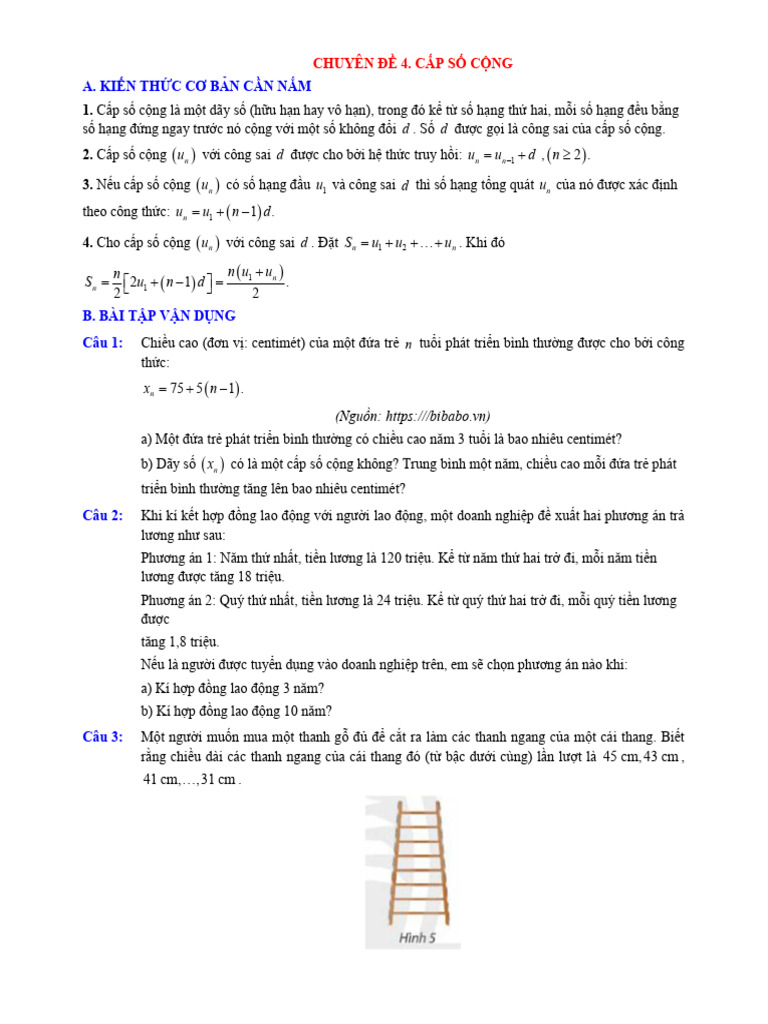 THỰC TẾ CSC- NBV 25 | PDF
