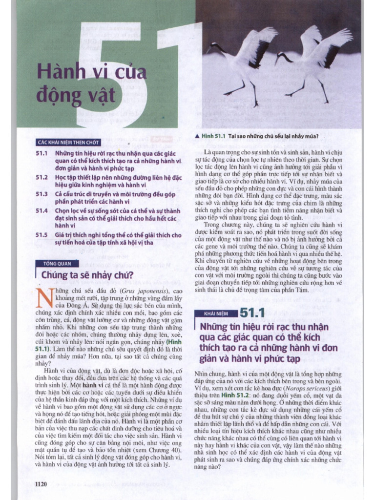 Chương 51 Campbell 8th Tiếng Việt | PDF