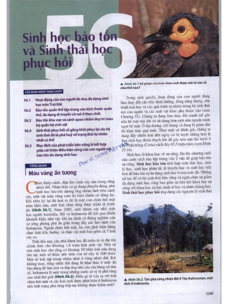 Chương 56 Campbell 8th Tiếng Việt | PDF