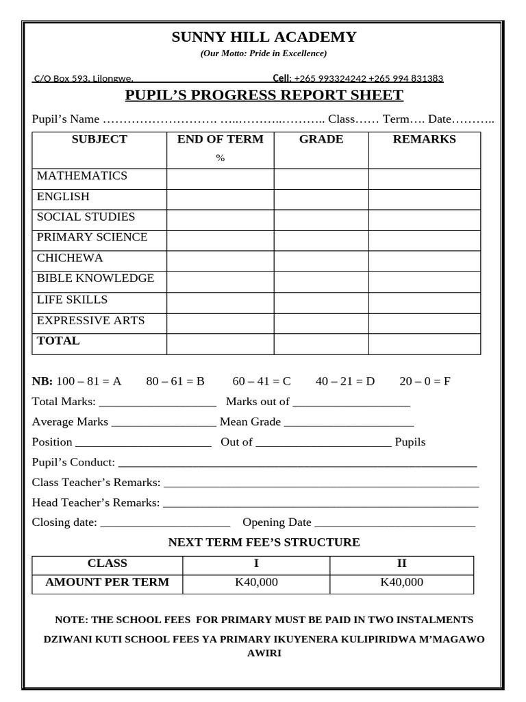Sunny Hill Academy Progress Report | PDF