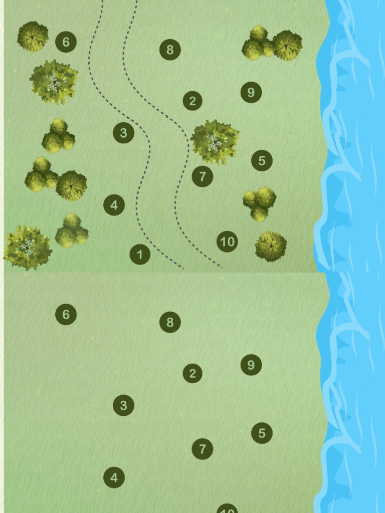 Poligon Zadnje Xy | PDF