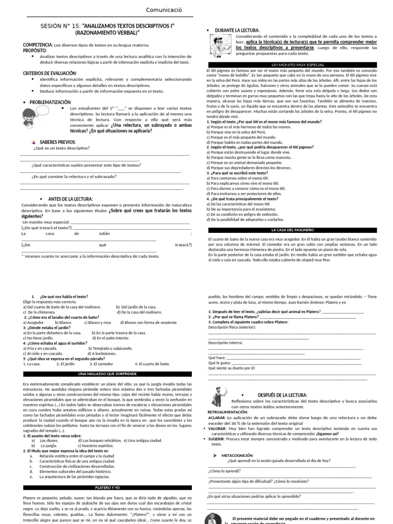 Material Sesión 15 Texto Descriptivos RV | PDF