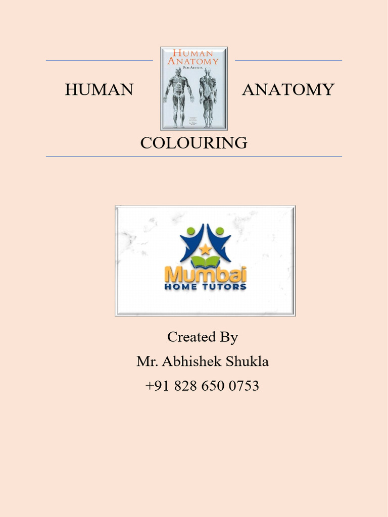 Human Anatomy Workbook | PDF