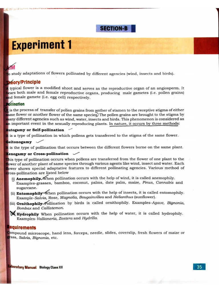 Bio Practical Section-B | PDF