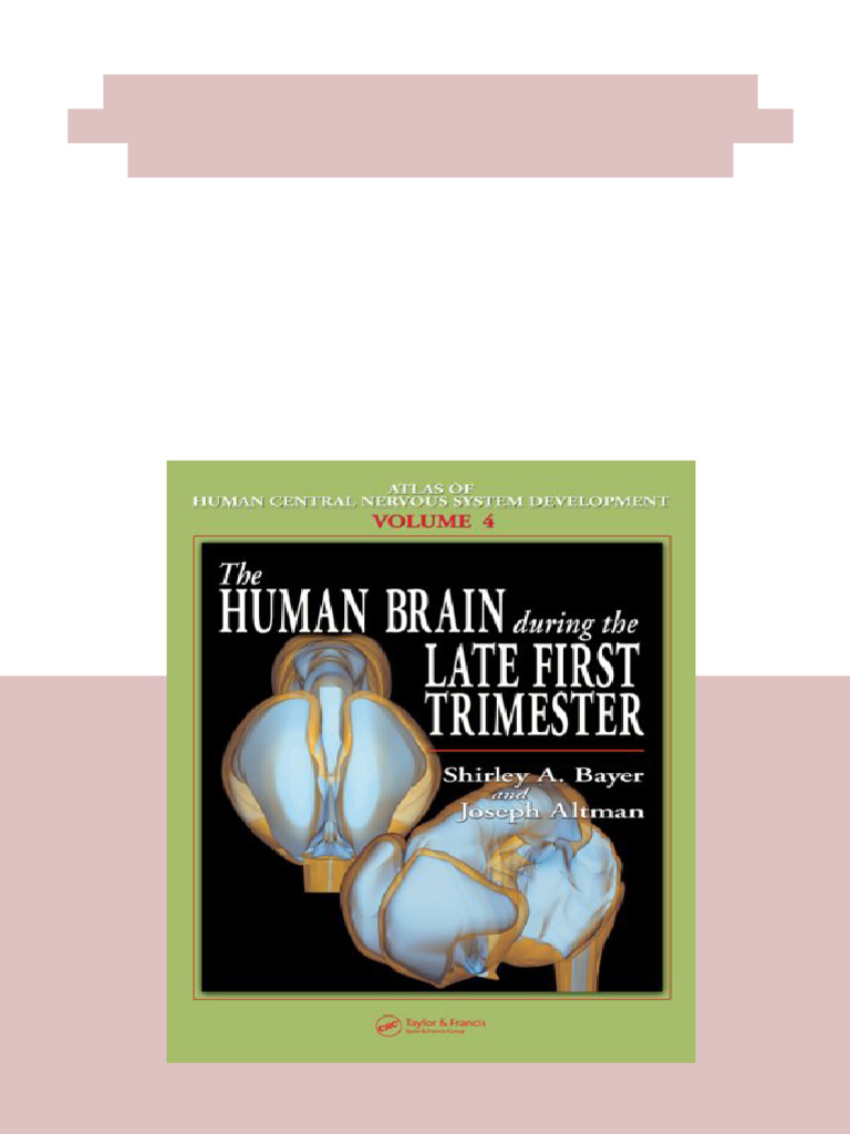 The Human Brain During The Late First Trimester Atlas of Human Central ...