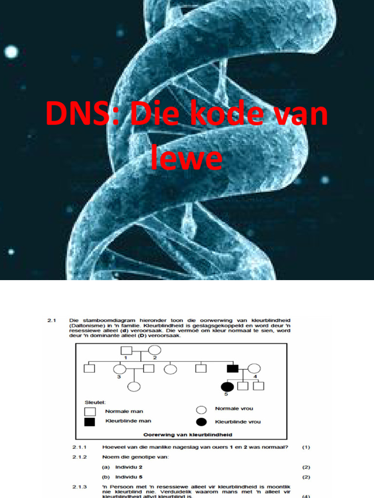 DNS: Die Kode Van Lewe | PDF
