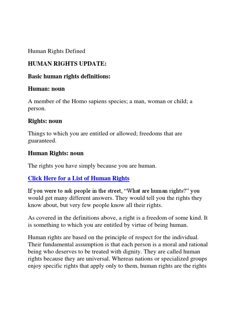 Understanding Human Rights Basics | PDF