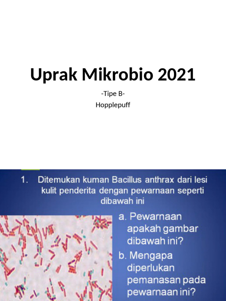 Uprak Mikrobio Tipe B-Dikompresi | PDF