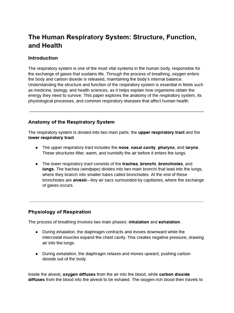 Research About Respiratory | PDF | Respiratory System | Respiratory Tract