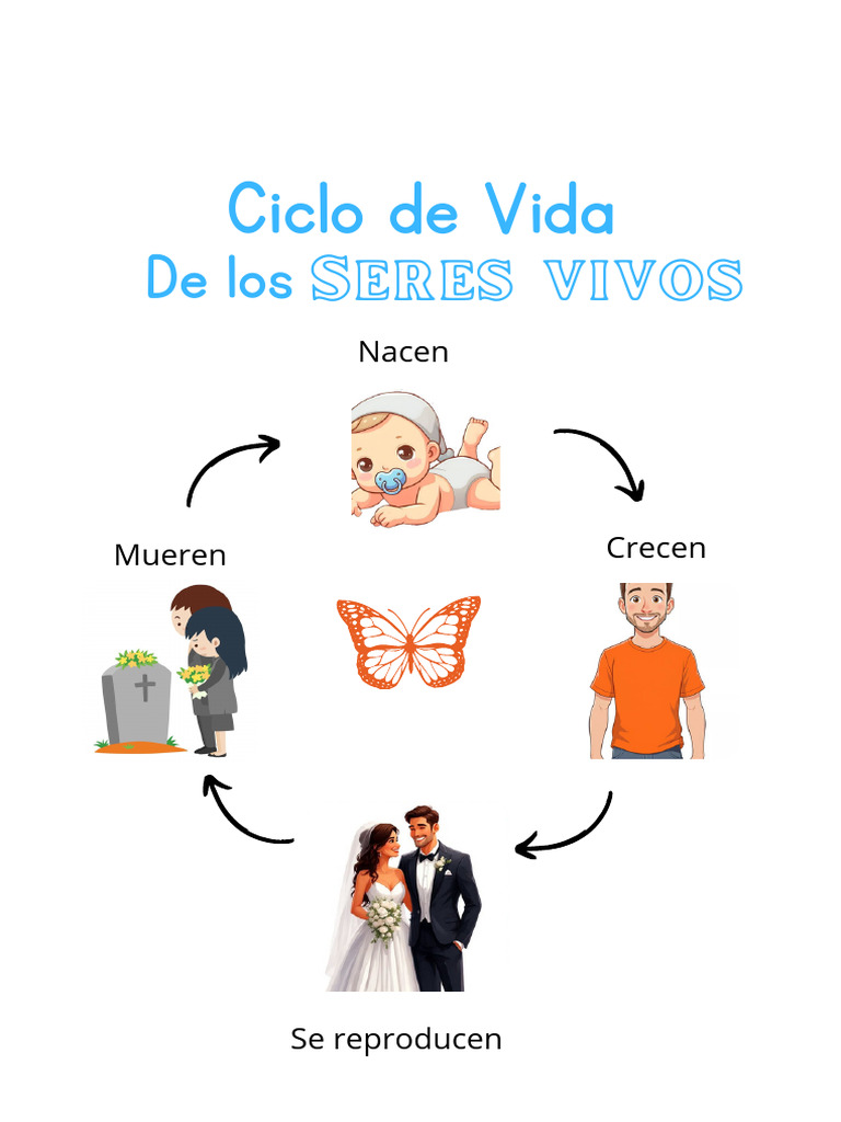 Ciclo de Vida de una Mariposa | PDF
