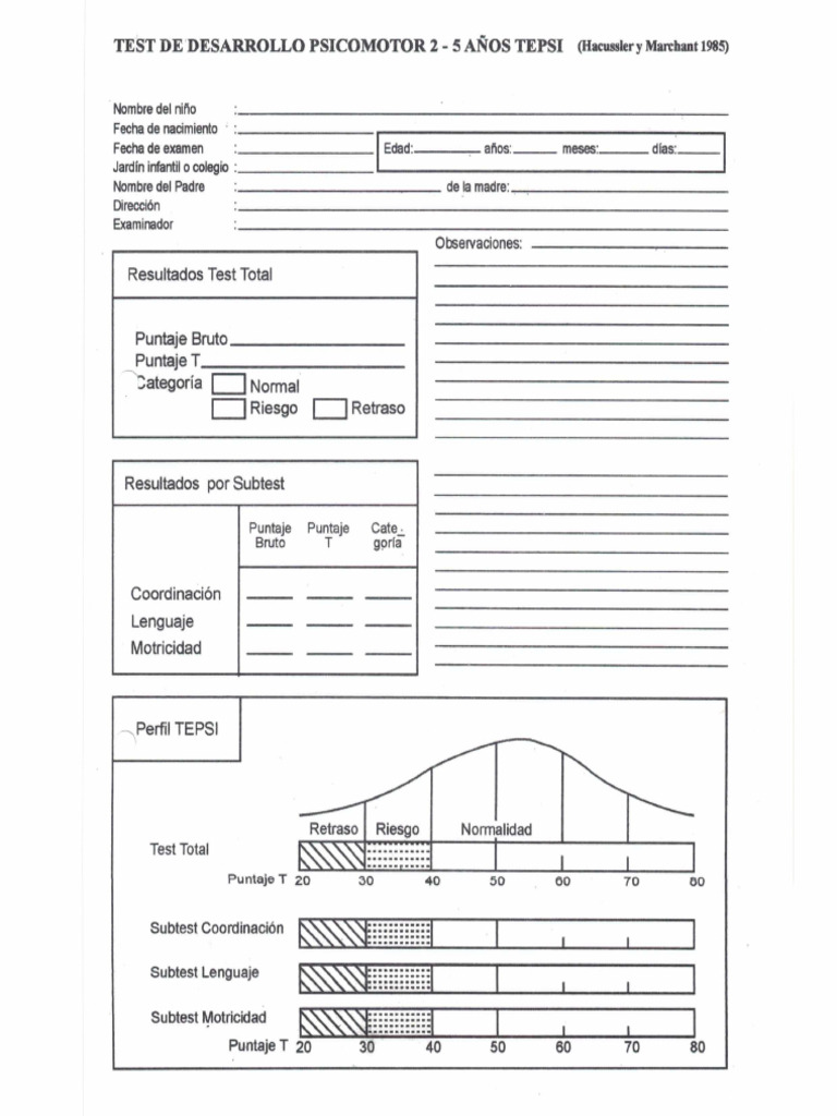 Hoja Registro TEPSI | PDF