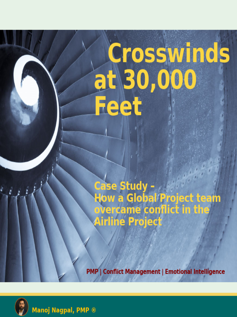 Project Management Case Studies #001 | PDF