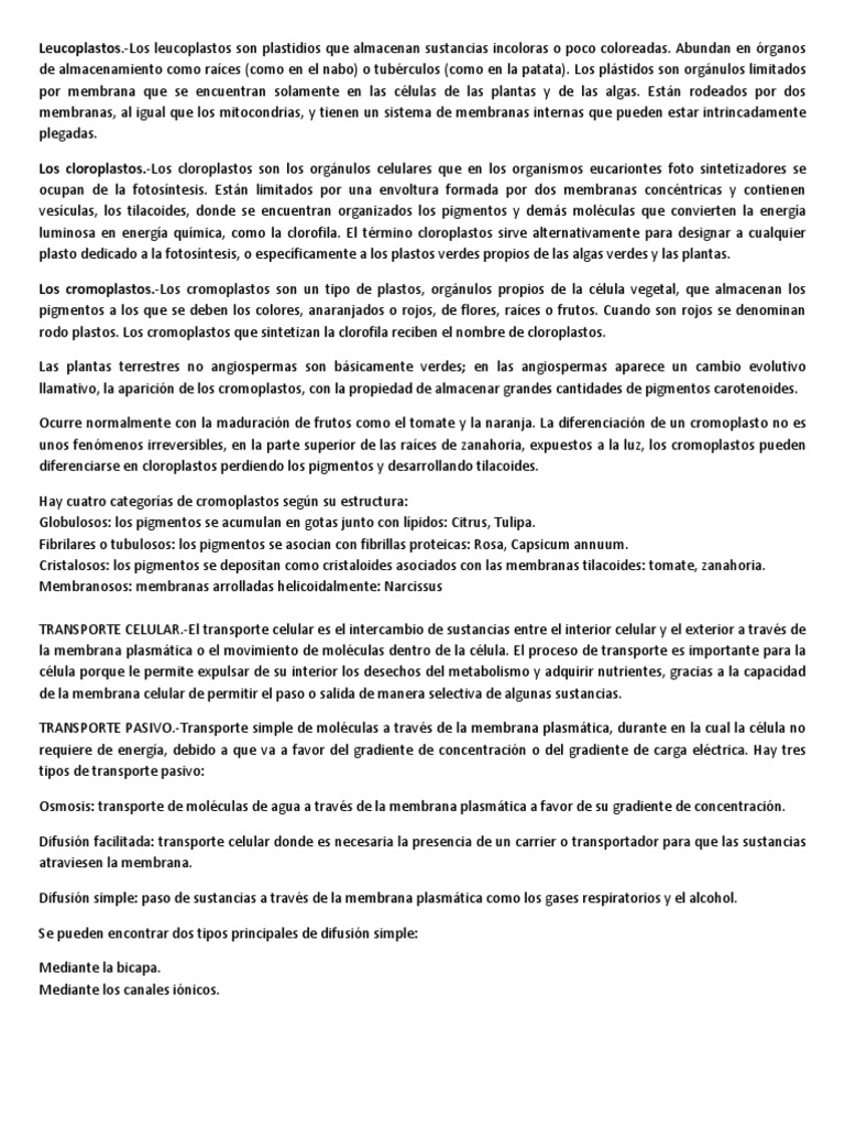 Función y Estructura de Leucoplastos | PDF | Cloroplasto | Plantas