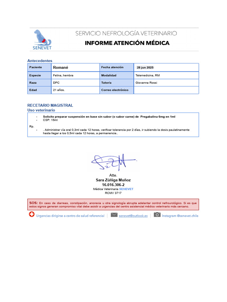 Recetario Magistral - Romaneě Rossi - 28062025 | PDF