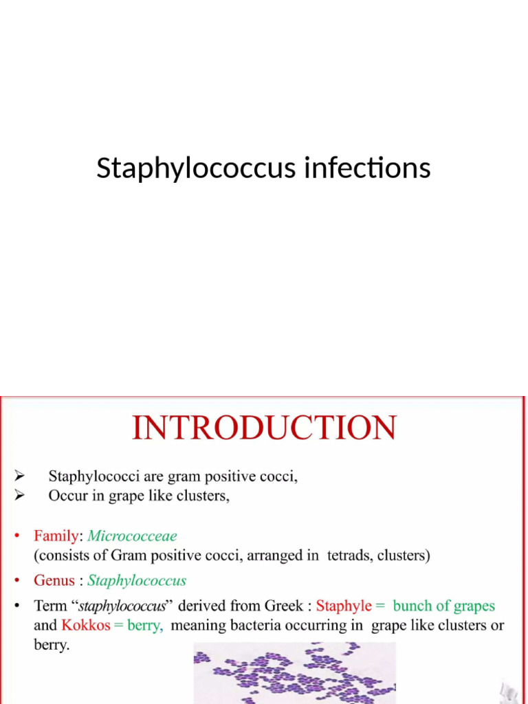 Staphylococcus Infections | PDF