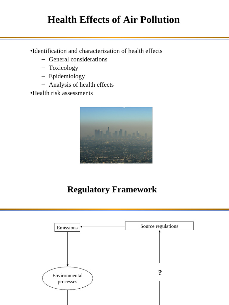 Chapter 12 - Health Effects | PDF | Particulates | Air Pollution