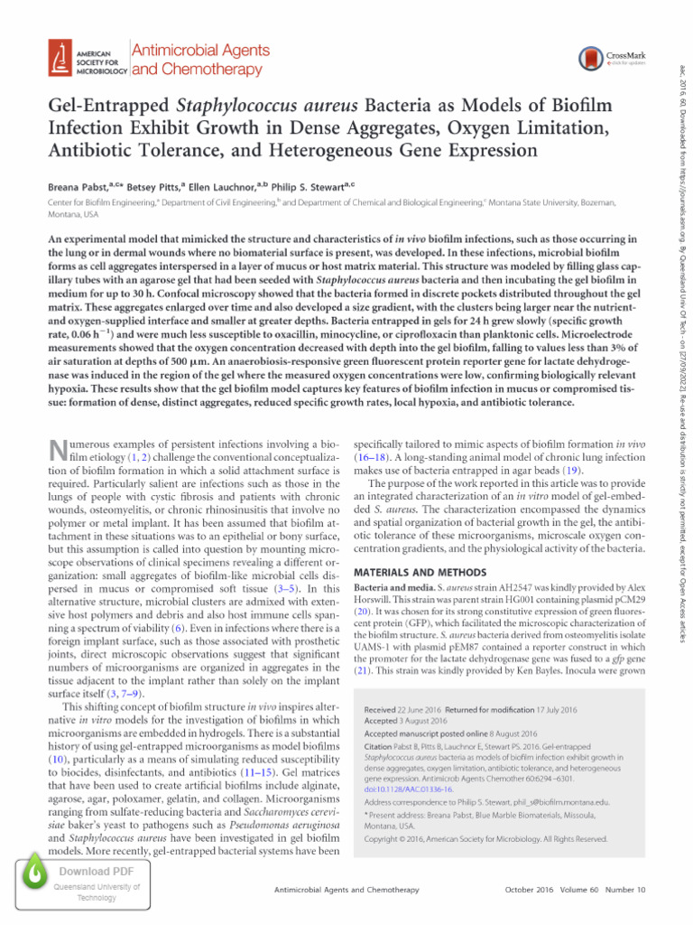 Breana Pabst 2016 | PDF