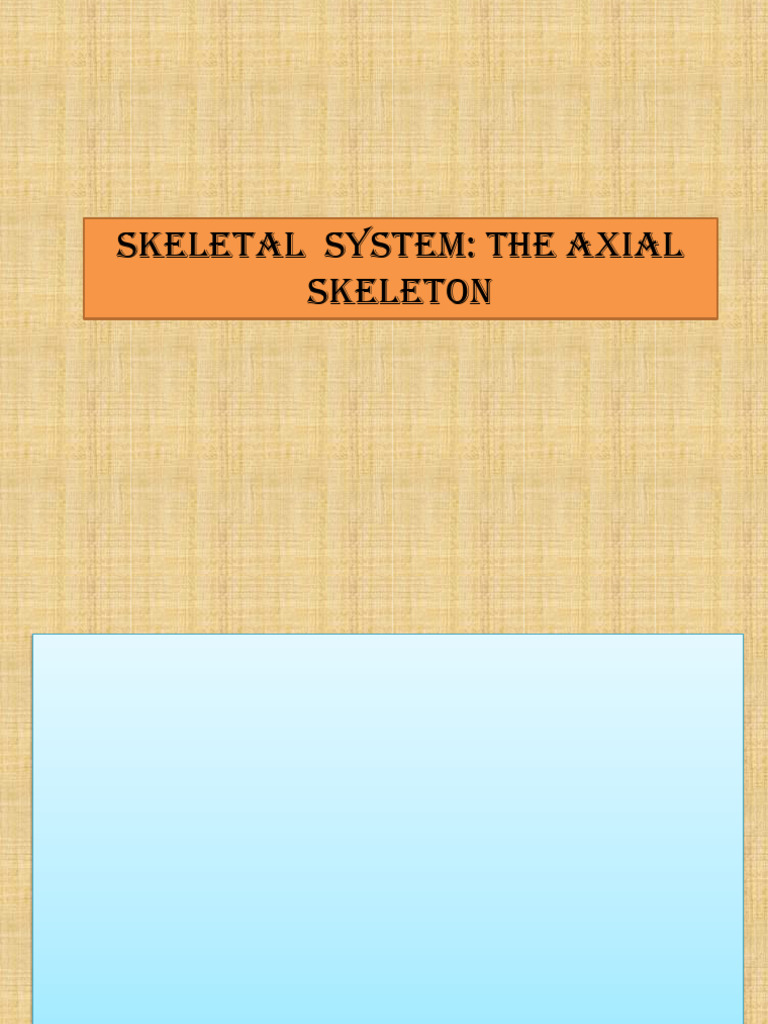 Axial Skeleton 1st Part | PDF | Vertebra | Thorax (Human Anatomy)