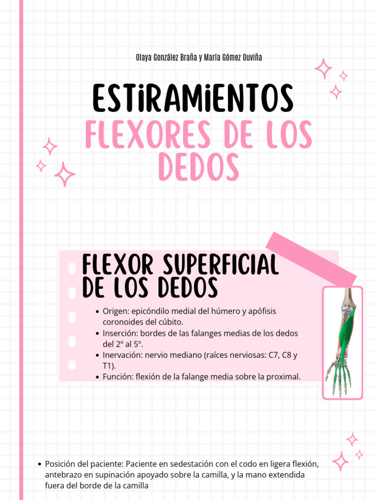 Flexores de Los Dedos | PDF | Mano | Extremidades (anatomía)