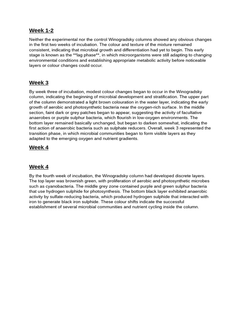 Winogradsky Column Microbial Development | PDF