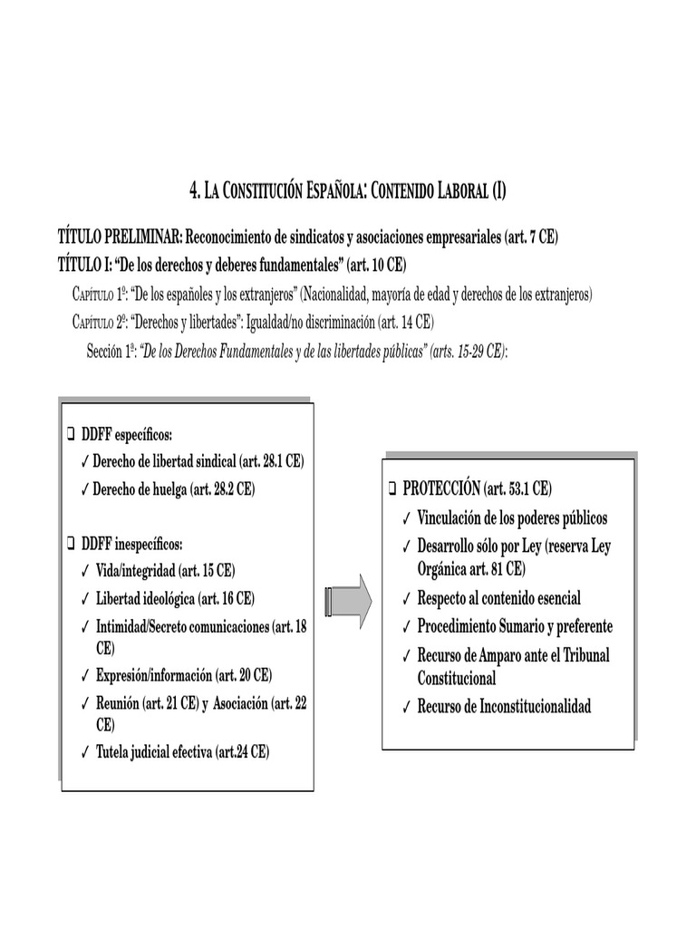 Esquema Constitucion Pdf