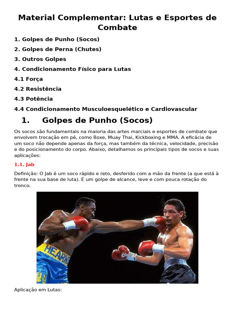 Golpes e Técnicas em Lutas de Combate | PDF | Muay Thai | Músculo