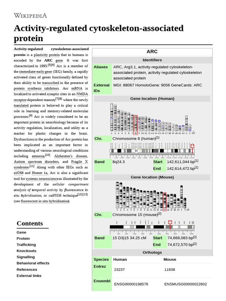 Activity Regulated Cytoskeleton Associated Protein | PDF ...