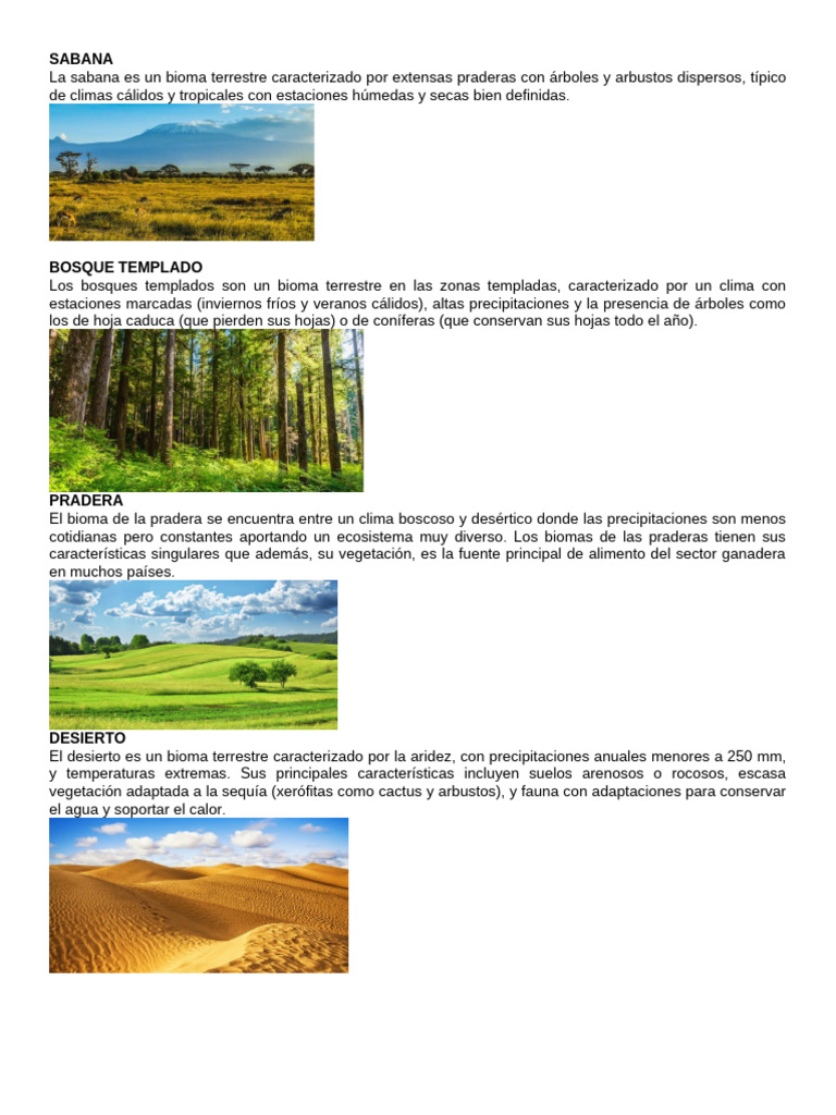 SABANA | PDF | Desierto | Clima