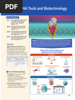 Nano Glo Hibit Lytic Detection System Technical Manual | PDF | Proteins ...