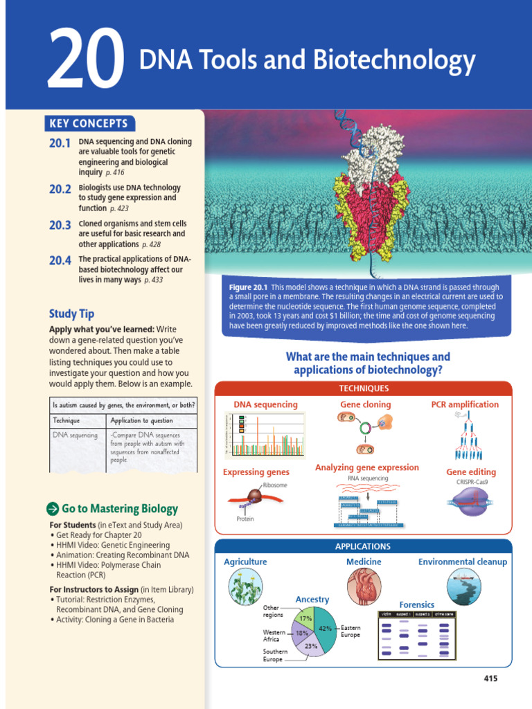 Lesson 20 生物科技 | PDF | Molecular Cloning | Polymerase Chain Reaction