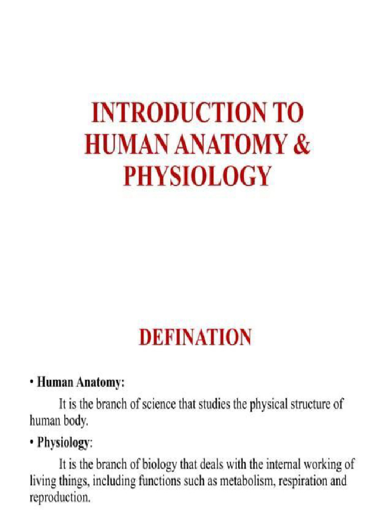 Basic Anatomy | PDF