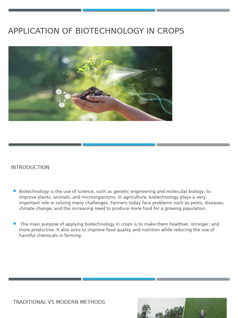 Biotechnology in Crop Improvement | PDF | Biotechnology | Agriculture