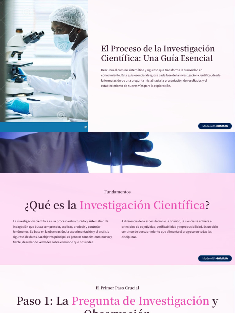 Guía del Proceso de Investigación Científica | PDF | Método científico ...