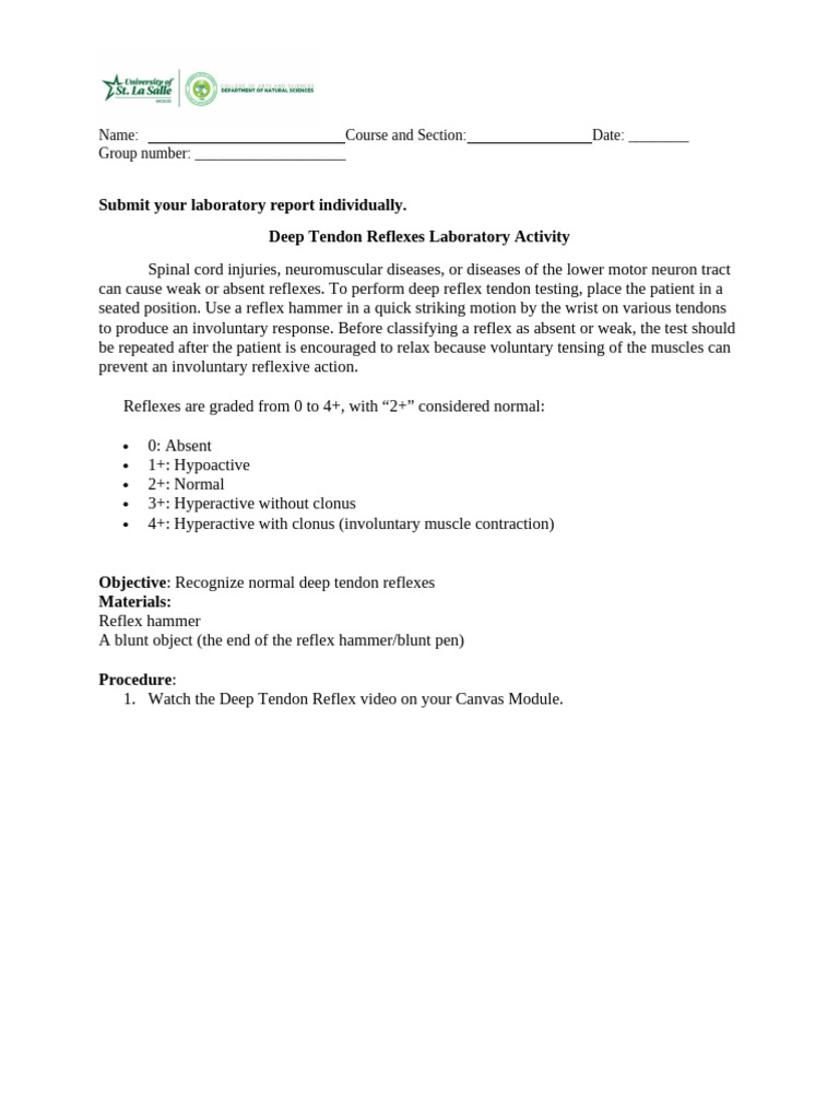 Reflex Laboratory Activity | PDF | Arm | Anatomical Terms Of Motion