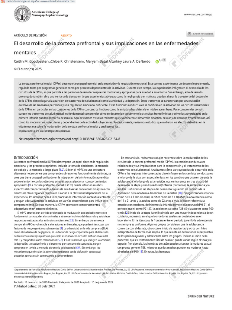 Prefrontal Cortex Development and Its Implications in Mental Illness ...