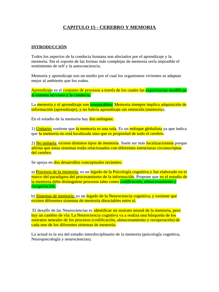 Cerebro Y Memoria Pdf Memoria Amnesia
