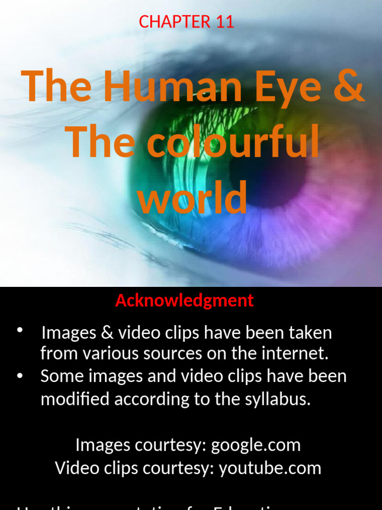 Understanding the Human Eye and Vision | PDF | Eye | Atmosphere Of Earth